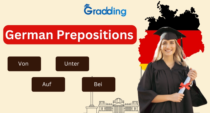 German Prepositions: Types, Cases, Examples and More