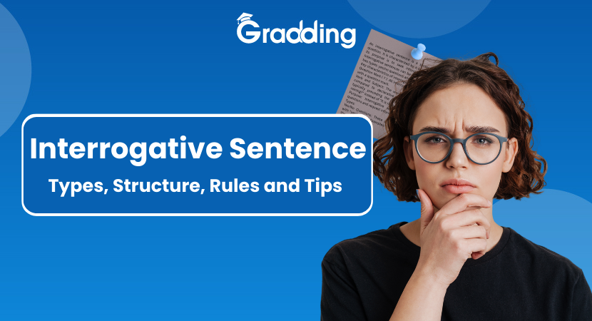 Interrogative Sentence: Meaning, Examples, Types, and Exercise