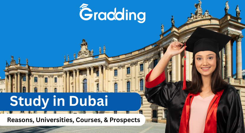 Study in Dubai: Reasons, Universities, Courses, & Prospects